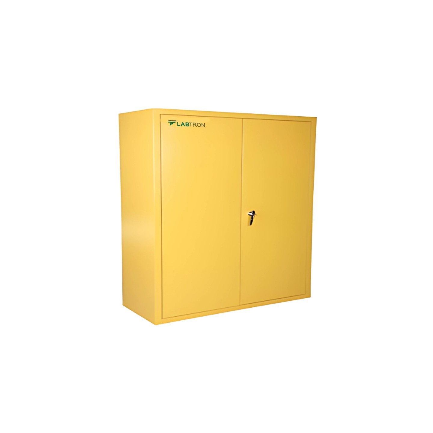Buy Labtron 170 L Personal Protective Equipment Cabinet LPPE-A10