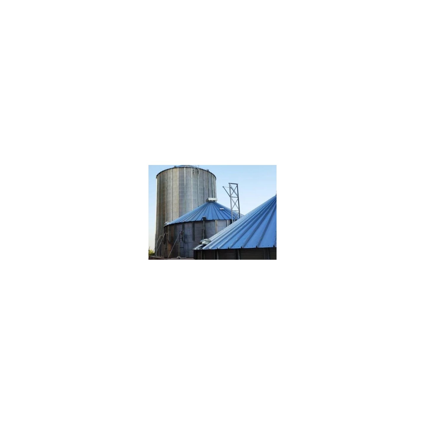 Buy Grain Storage Silos Tanks BE 50000 KG at best price India