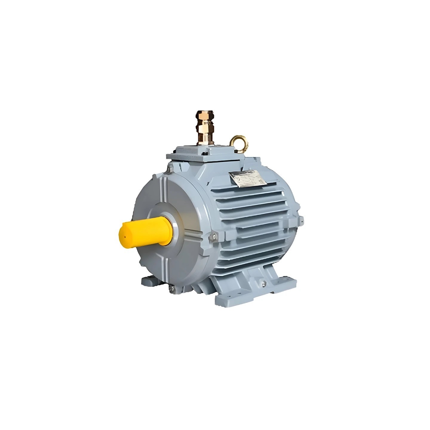 Buy Crompton 1 HP NS90S 6 Pole Induction Motor at Lowest Price