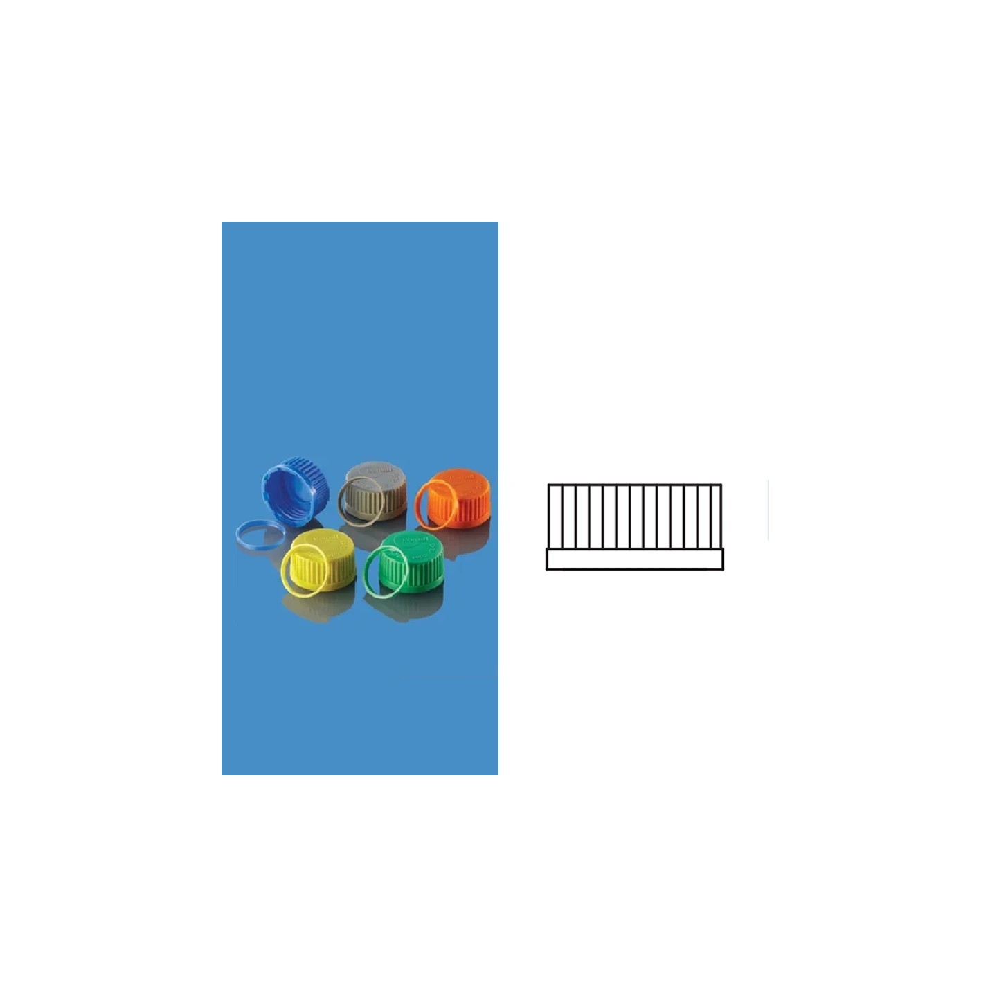 Buy Borosil Green Screw Cap With Pouring ring 1503C04 Online