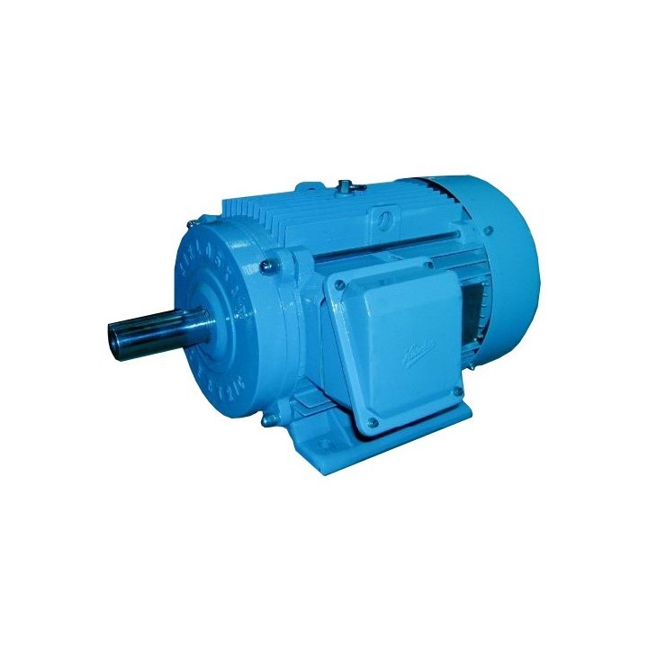 Buy Kirloskar 2.2 kW/3 HP 3 Phase IE2 Induction Motor (RC90SL)