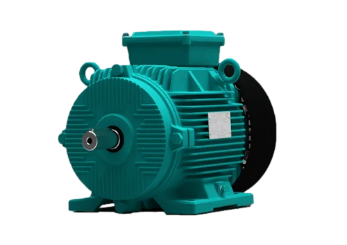 Buy REM Double Disc Polishing Machine 1 HP motor at best price